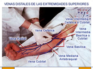 Pronation Todo Sobre La Curvatura Del Pie