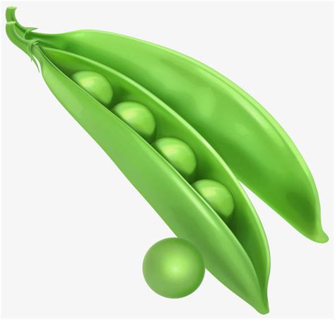 手绘小豌豆 快图网 免费PNG图片免抠PNG高清背景素材库kuaipng