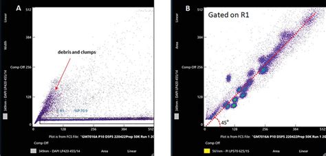 Chromosome Analysis And Sorting Using Conventional Flow Cytometers PMC