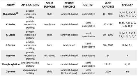 Antibody Arrays Explained A Guide To Multiplex Protein Profiling