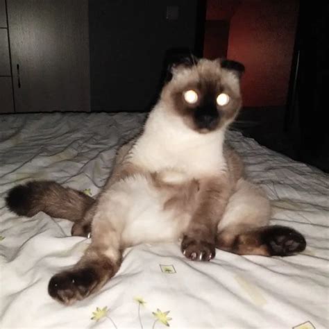 3d печатная змея подвижный шарнир игрушка фигурка имитация змеи