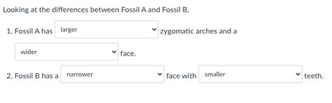 Solved A B Looking At The Differences Between Fossil A And