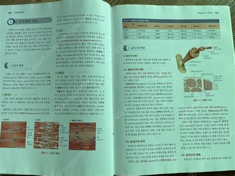 인체해부학현문사 판매합니다 학습교육 중고나라