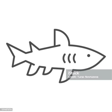상어 얇은 라인 아이콘 해양 개념 흰색 배경에 위험 약탈 물고기 기호 모바일 개념 및 웹 디자인을위한 윤곽 스타일 상어 실루엣