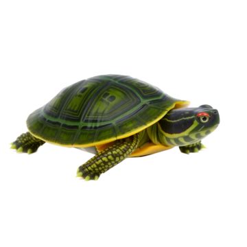 거북이 Png 일러스트 이미지 및 Psd 파일 Pngtree에 무료 다운로드