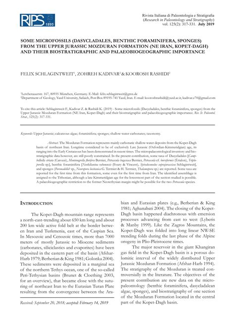 Pdf Some Microfossils Dasycladales Benthic Foraminifera Sponges From The Upper Jurassic