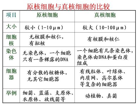 原核细胞和真核细胞最主要的区别是？？？？？？？？？ 百度知道