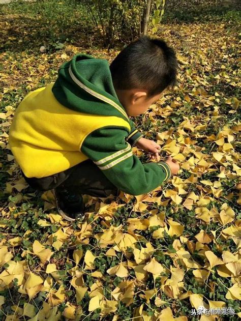 邱縣的秋天要給你點顏色瞧瞧 每日頭條