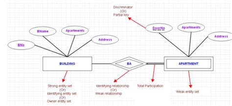 Normalisation And Edr Flashcards Quizlet
