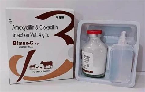 Bfmox C Amoxycillin Cloxacillin Injection At ₹ 190 In Ambala Id 2851538827062