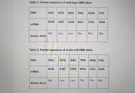 Solved What Is The Change In The Charge Between Hba And Hbs Chegg Com