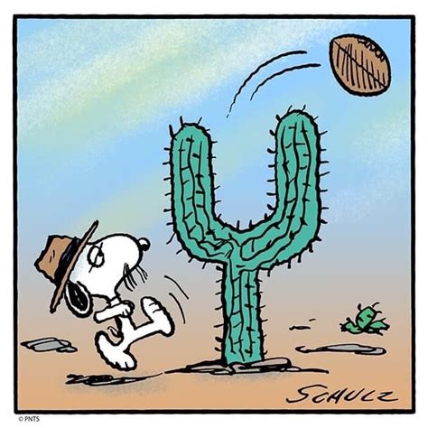 Pin By Dlynn Long On Peanuts Snoopy Funny Snoopy Pictures Snoopy