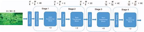 Figure 1 From Underwater Object Detection With Swin Transformer