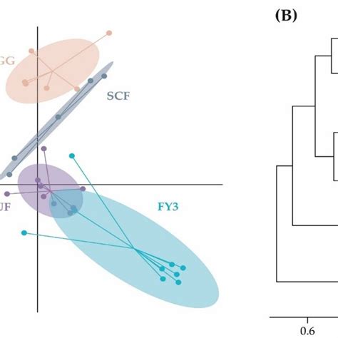 β diversity of all samples shown as a multidimensional scaling mds