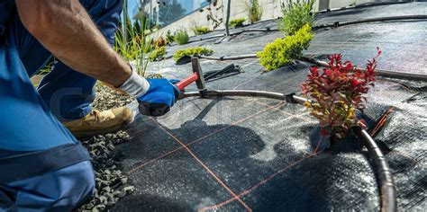 Garden Watering Technologies Specialist Installing Drip Irrigation