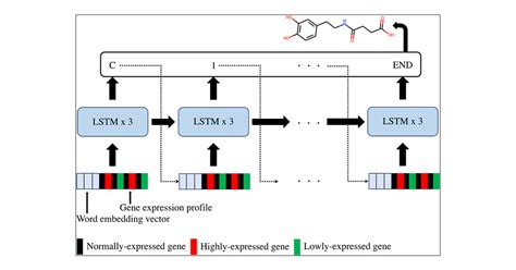 Transcriptionally Conditional Recurrent Neural Network For De Novo Drug Design Journal Of