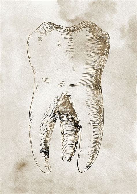 24 Dental Art Ideas Dental Art Dental Teeth Art