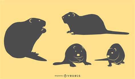Beaver Silhouette Set For Graphic Design Portfolio Beaver Silhouette