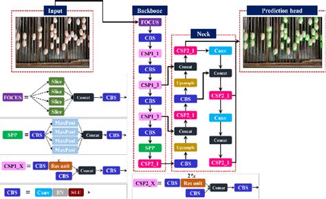 Figure 4 From Using Yolov5 Dse For Egg Counting In Conventional Scale Layer Farms Semantic Scholar
