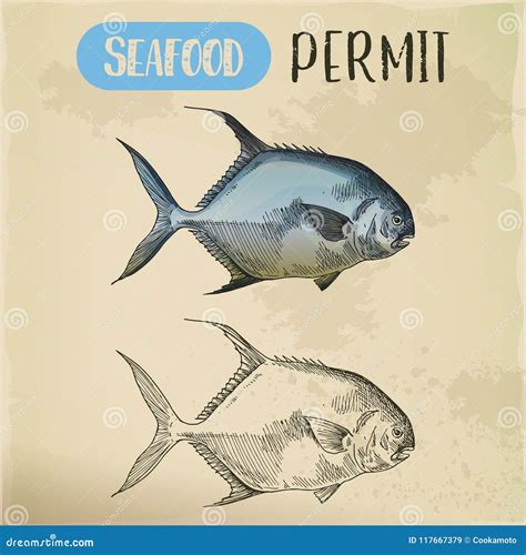 Permit Fish Fishing On Black Background Stock Image