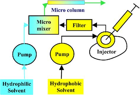 Scheme Of A Micro LC Injection System Download Scientific Diagram