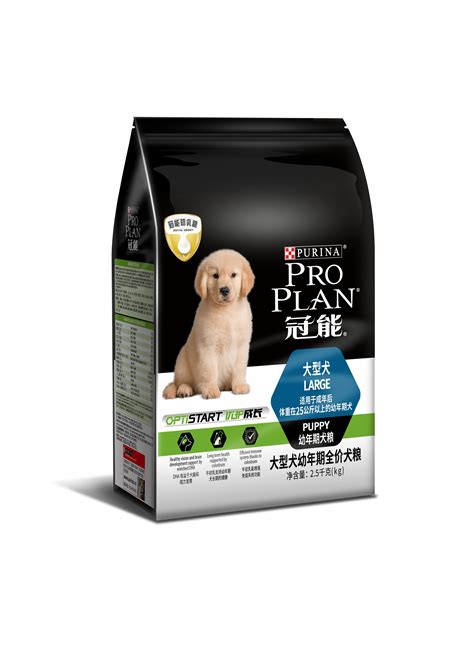 小狗流鼻涕是怎么回事如何有效避免 知乎