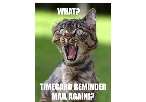 Best Timesheet Memes To Laugh At While Filling In You Vrogue Co