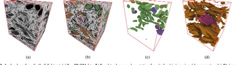 Figure 1 From Computer Methods And Programs In Biomedicine Semantic Scholar