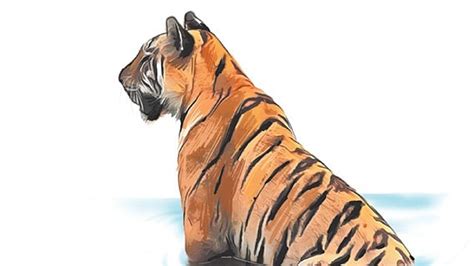 Rain Delay In Updating M Stripes App Affect Tiger Census Work In Tn