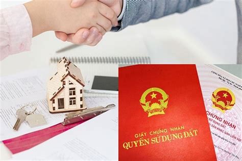 tổng hợp mẫu hợp đồng chuyển nhượng quyền sử dụng đất