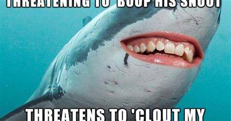 Mbrw I Use Boop The Snoot Too Much Meme On Imgur