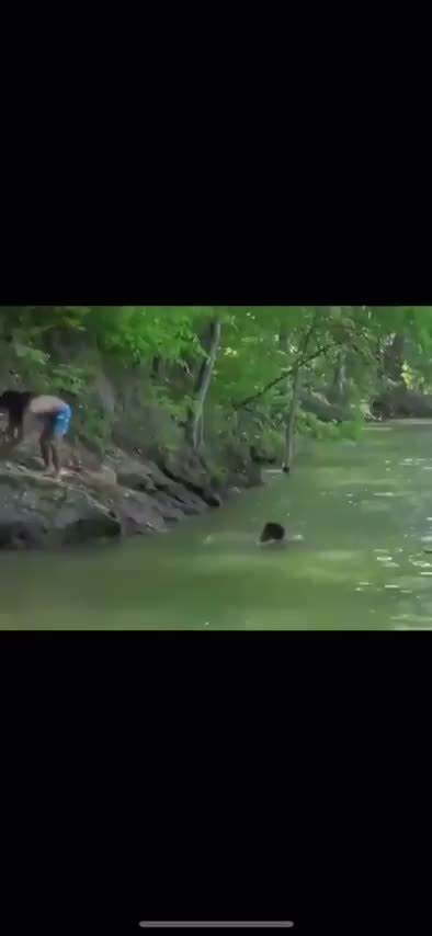 Tarzan Doing The “the Macho Man Flying Elbow Drop” Album On Imgur