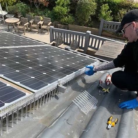 Why Solar Bird Proofing Is Necessary