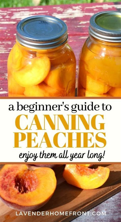 How To Can Peaches In Light Syrup How To Can Peaches At Home How To