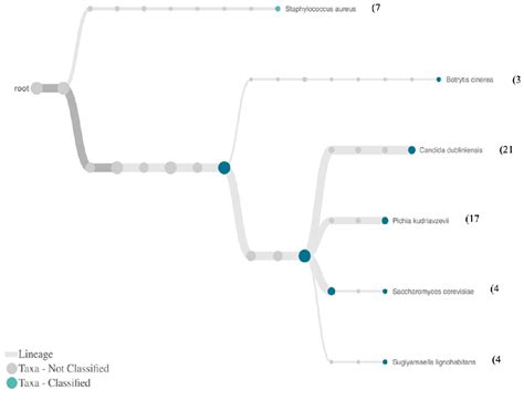 Figure 1 From Nanopore Sequencing Of Dna Barcodes Succeeds In