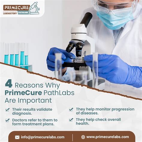 Primecure Pathlabs Medical Services For Healthcare Primecure Path Labs Posted On The Topic
