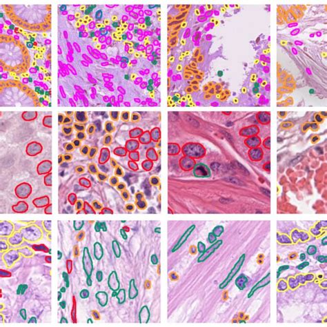 Summary Of All Pre Trained Diffusion Models Including The Size Of The Download Scientific