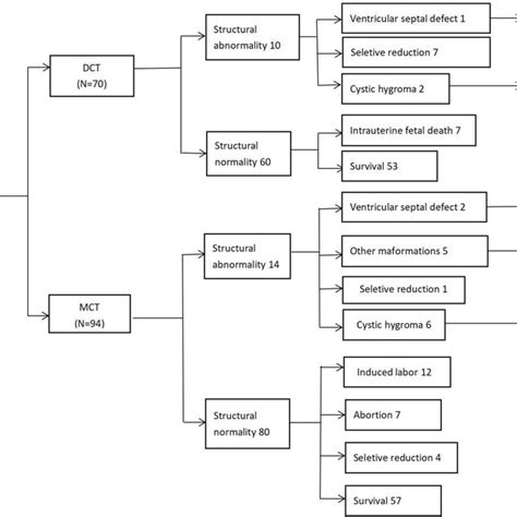 Supplementary Drawing Of Fig 1 Download Scientific Diagram
