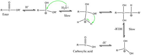 Ester Hydrolysis Easy Introduction With Mechanisms Chemistry Notes
