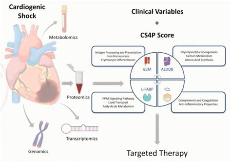 国际前沿 人工智能预测心脏骤停，ai助力心血管病的个性化精准预防 瑞士领誉医疗官方网站：您的欧洲私人医生！