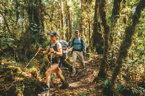 Kokoda Track Expedition • Papua New Guinea Treks