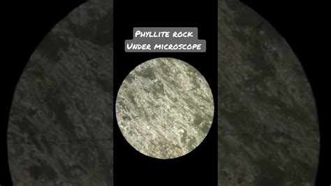 Metamorphic Rock Under Microscope Shorts Phyllite Rock Geology