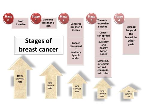 Stages Of Cancer