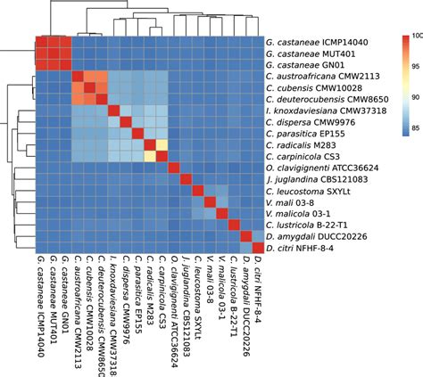 Heatmap Of The Average Nucleotide Identity Ani Analysis Performed Download Scientific Diagram