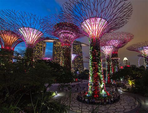Singapore Gardens By The Bay Supertrees