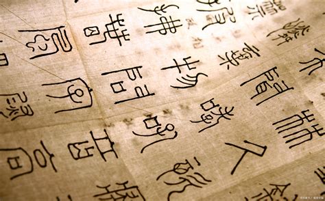 解析汉字密码 探源中华文明——河南省漯河市政协建言传承弘扬汉字文化小记