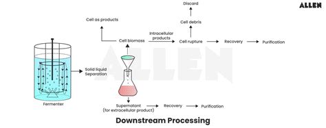 Bioprocessing Definition Operations And Faqs