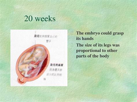 PPT SEX EDUCATION PowerPoint Presentation Free Download ID