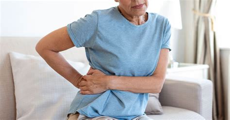 Anatomia Feminina De Hernia Inguinal Scielo Brasil Systemization Of