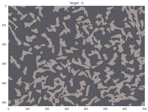 Github Frozenwolf Cyber Sartorius Cell Instance Segmentation Training U Net And Mask R Cnn